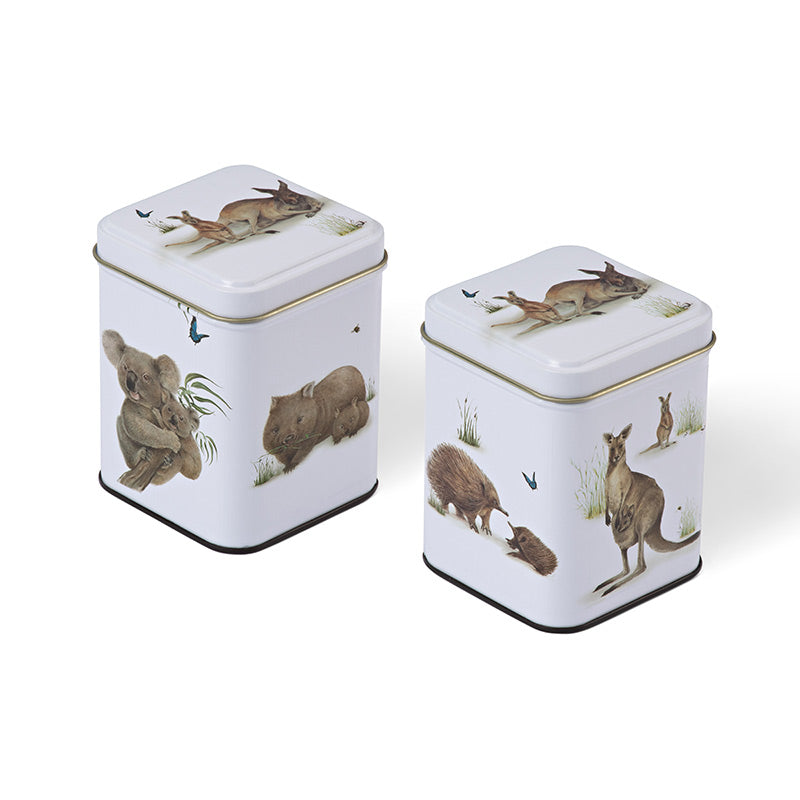 Shop Australian Wildlife Small Tea Tin - Animals Online | Australia