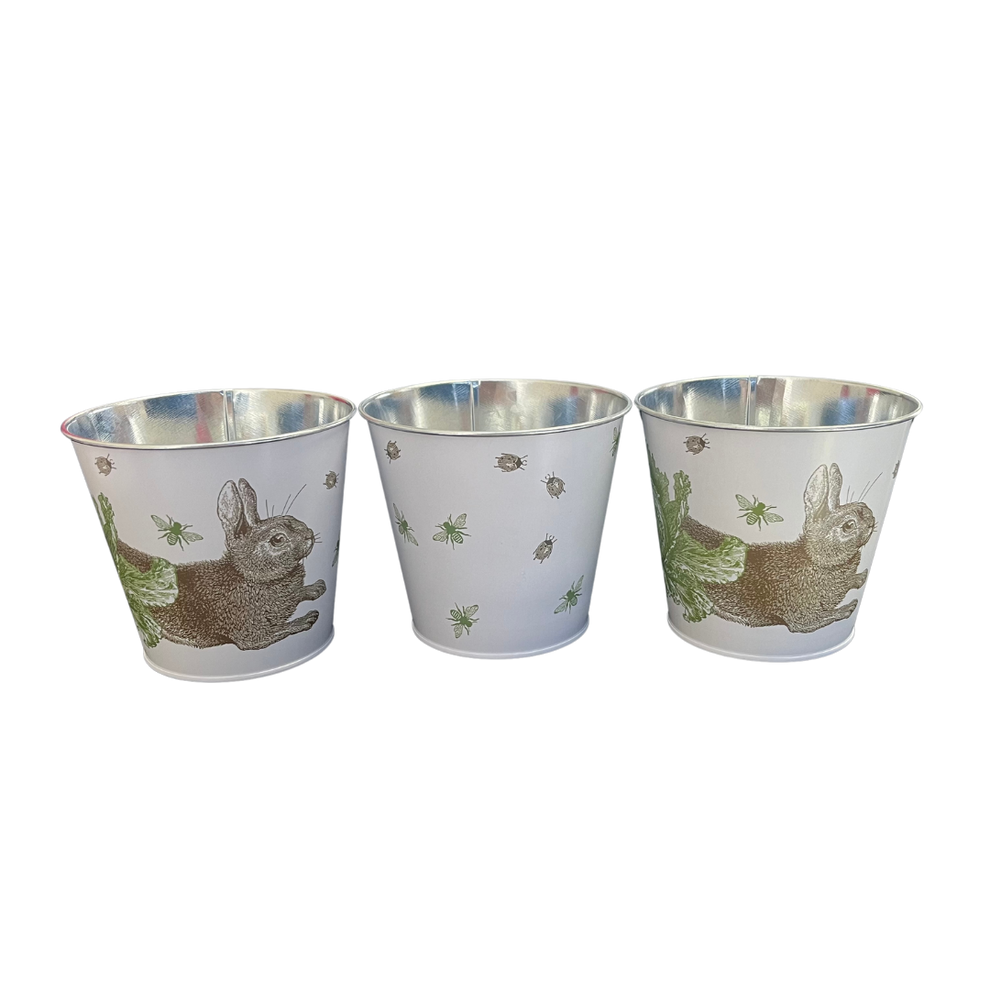 Shop Thornback & Peel, Rabbit & Cabbage Plant Pot Tins Set Of 3 Online ...